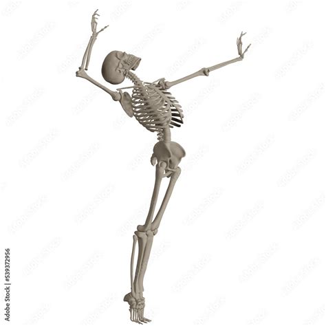 Skeleton Posing D Render Illustration Stock Illustration Adobe Stock
