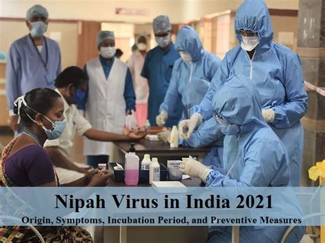 Nipah Virus In India Origin Symptoms Incubation Period Preventive Measures And More