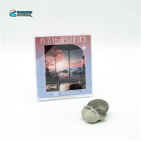 Future Aesthetics Wde X The Microgram Underwater Computing