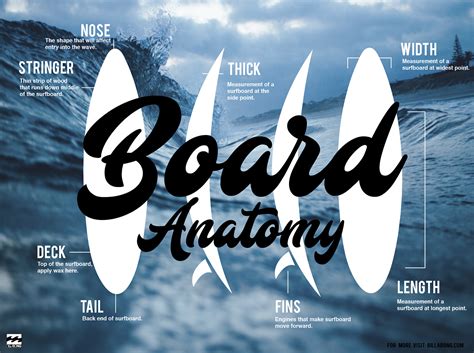data driven infographics on behance