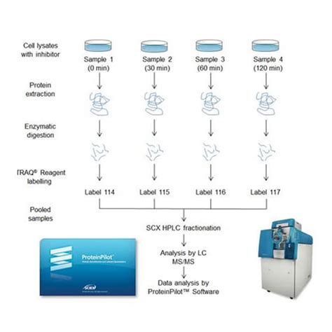 Discovery Proteomics