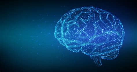 Mapping The Mouse Brain Helps Reveal What Makes Us Human