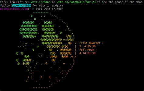 get curly 10 useful things you can do with curl