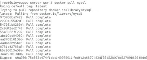 分布式部署：第三章：docker、mysql、tomcat、nginx、redis部署 阿里云开发者社区