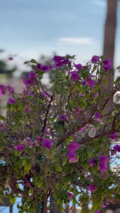 Alexandros Georgiadis On Linkedin Hotel Cyprus Linkedin Hospitality