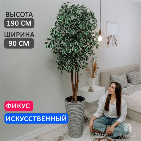 Искусственное дерево Фикус / декоративные растения высокие для ...