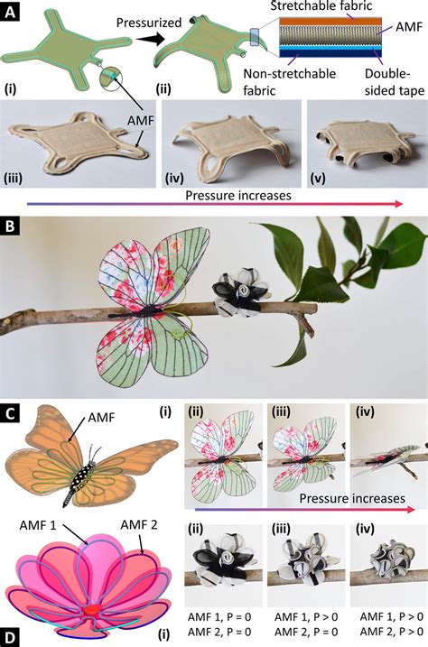 Fabric Reconfiguration To Produce Shape Morphing Structures A Download Scientific Diagram