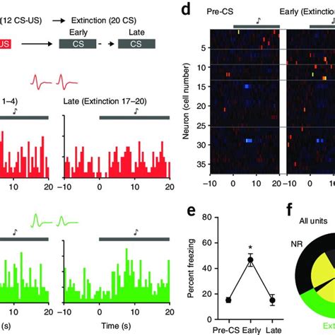 context dependent global or discrete coding in lc neurons in response