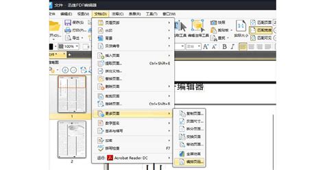 Pdf怎么编辑pdf如何插入自定义页码文档之家