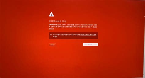 랜섬웨어 감염 된걸까요 지식in