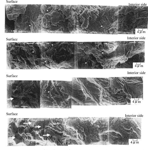 Figure 14 From Evolution Of Dislocation Structure And Fatigue Crack