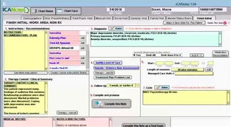 Webinar Icanotes Clinical Notes Training Non Prescriber Progress Note By Icanotes