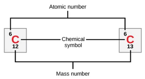 Biol 111 Chapter 2 Lecture Flashcards Quizlet