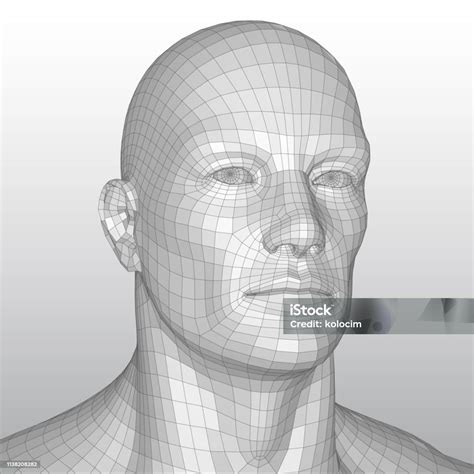 3d 와이어 프레임 인체 다각형 낮은 폴 리 남자에 대한 스톡 벡터 아트 및 기타 이미지 남자 3차원 인쇄 3차원 형태 Istock