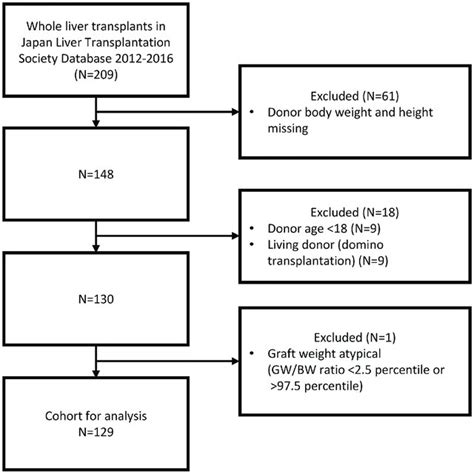 Rmse Of The Candidate Models The Y Axis Represents The Download Scientific Diagram