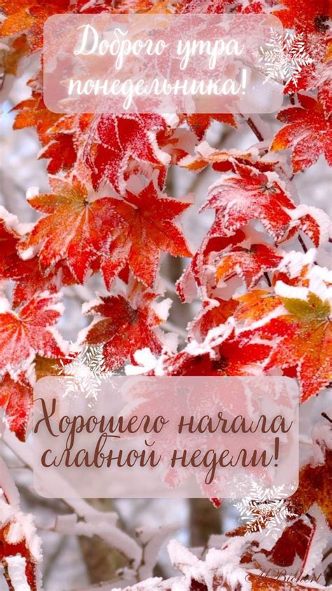 Доброе утро понедельника