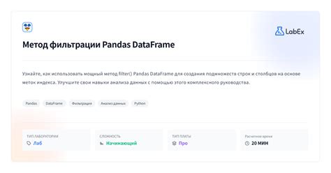 Фильтрация Pandas Dataframe Анализ данных Labex
