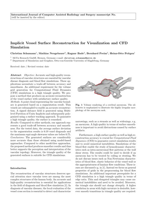 pdf implicit vessel surface reconstruction for visualization and cfd
