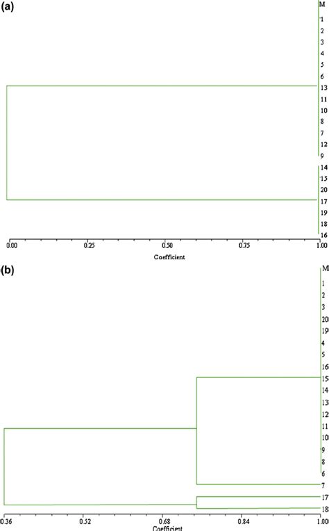 Dendrogram Obtained By Molecular Analysis Of Regenerants Of S