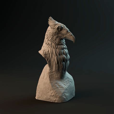 Stl File Haast Eagle Bust Pre Supported Prehistoric Bird Head 🦅・model