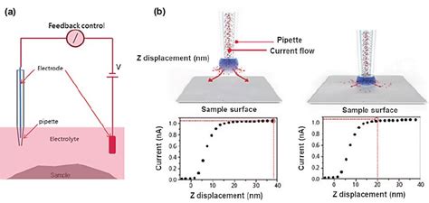 scanning ion conductance microscopy sicm park systems