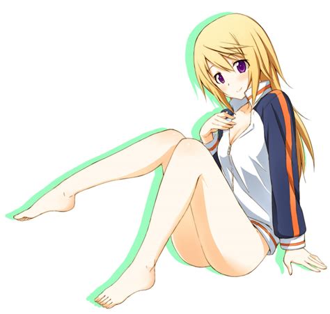 Charlotte Dunois Infinite Stratos Drawn By Hamao Danbooru
