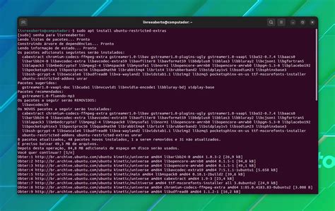 Como Instalar O Decoder H264 No Ubuntu Linux