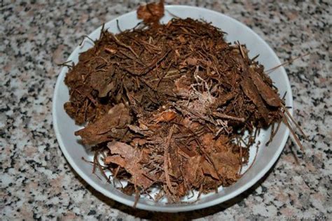 Земя за стайни растения