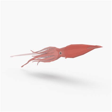 Squid 3d Models Download Free3d