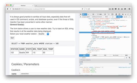 Injection Flaws Numeric Sql Injection