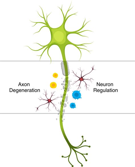 Neuronupdated Nura Bio™
