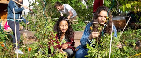 Study Plant And Crop Sciences All You Need To Know Studyeu