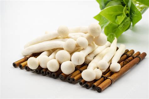 백 옥 버섯 고 화질 촬영 도 소재 배경 음식 백옥 버섯 재료 배경 일러스트 및 사진 무료 다운로드 Pngtree