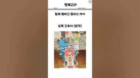 원피스 밀해 멤버간 클라스 차이 Onepiece 원피스 Anime Youtube