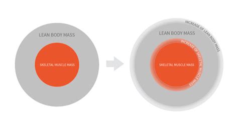 Inbody Presents Lean Body Mass Vs Muscle Mass Whats The Difference