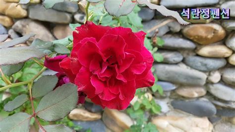 온가족이 함께 하는 추석 Youtube