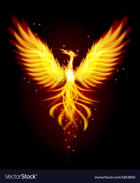 Phoenix Bird Royalty Free Vector Image Vectorstock