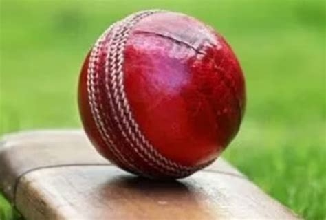 Une Vs Clj Dream11 Prediction Scorecard And Team Moara Vlasiei Cricket Ground Ilfov County At 3