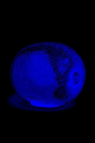 Kivi Cijene I Iskustva Bih