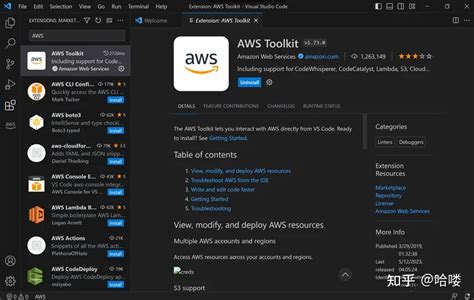 Codewhisperer 手把手教你使用一个十分强大的工具coderormer Csdn博客