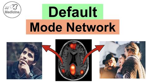 Default Mode Network Of The Brain Brain Structures Functions