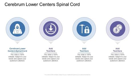 Cerebrum Lower Centers Spinal Cord In Powerpoint And Google Slides Cpb
