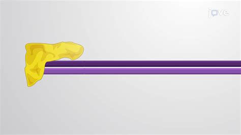 SiRNA Small Interfering RNAs Post Transcription Gene Silencing Concept Molecular Biology