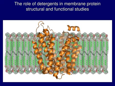 Ppt Impact Of Protein Detergent Interactions On Nmr Structure Determination Powerpoint