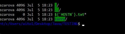 Having An Issue With Java Code Which Has To Be Executed On Linux