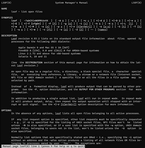 Mastering The Lsof Command Exampleessential For Linux System