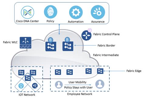 cisco dnac assurance course labs and training dclessons