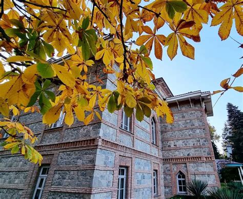 კახეთის დღიანი ტური კახეთი 0 Gel ნიმა ტურსი