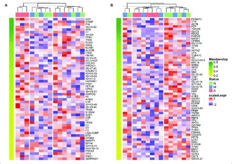 Heatmap Of Normalized Expression Matrix Of Two Clusters The