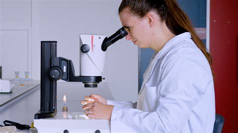 Video Monitoring Protein Aggregation Kinetics In Vivo Using Automated Inclusion Counting In